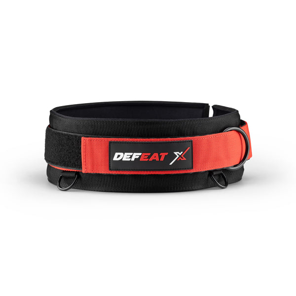 360 Ring Athletic Belt - DEFEAT X